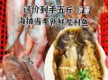 龙利鱼是什么鱼_龙利鱼是海鱼还是淡水鱼