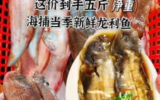 龙利鱼是什么鱼_龙利鱼是海鱼还是淡水鱼