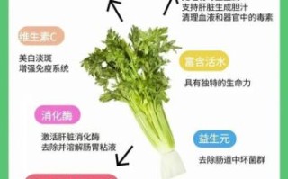 西芹汁的功效与作用_西芹汁能减肥吗