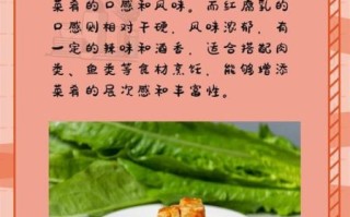 白腐乳怎么做_白腐乳制作步骤详解