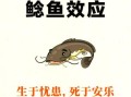 鲶鱼效应是什么意思_鲶鱼效应的由来