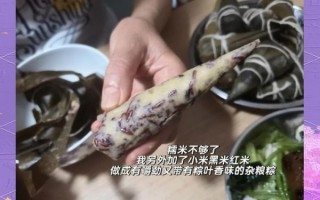 西米碱水粽子怎么做_碱水粽为什么用西米