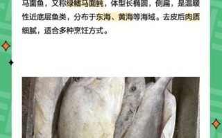 马面鱼多少钱一斤_马面鱼价格行情