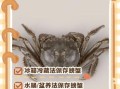 河蟹怎么保存才新鲜_活蟹冷藏能放几天