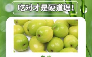 青枣上火吗_青枣吃多了会上火吗