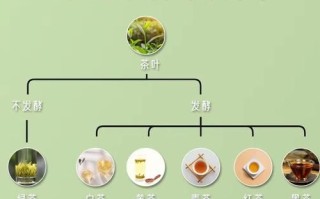 六大茶类有哪些_如何区分六大茶类