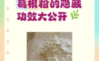 女人吃葛根粉的作用与功效_葛根粉怎么吃最有效