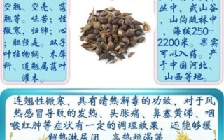 荆芥连翘汤的功效与作用_荆芥连翘汤适合哪些人群