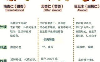 巴旦木和杏仁的区别_哪个更营养