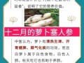 萝卜开会下一句是什么_萝卜开会歇后语大全