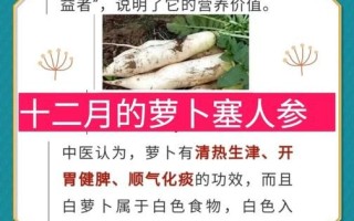 萝卜开会下一句是什么_萝卜开会歇后语大全