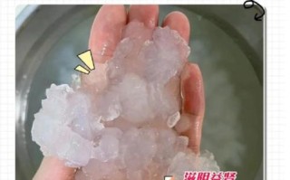雪蛤制作方法残忍吗_雪蛤怎么取油不残忍