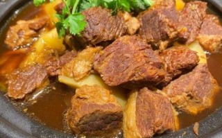 炖牛肉的家常做法大全_免费窍门