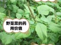 天天吃野苋菜的危害_长期吃野苋菜会中毒吗