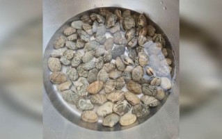 花蛤怎么吐沙干净_花蛤焯水几分钟最佳