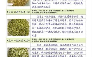 绿豆发芽观察日记评语怎么写_如何写好评语