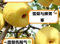 雪梨图片真实_如何辨别真假雪梨照片