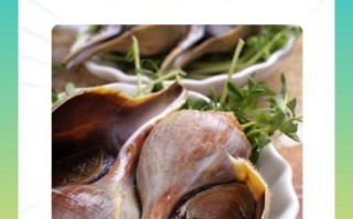 水煮海螺怎么做_水煮海螺要煮多久