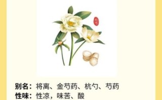 白芍的功效与作用有哪些_白芍主治哪些病