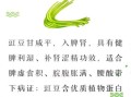 豇豆的功效与作用_豇豆怎么吃好
