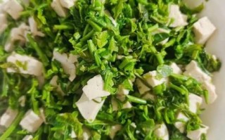 香椿豆腐凉拌怎么做_香椿豆腐凉拌要不要焯水