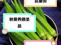 黄秋葵泡水喝的功效与作用_黄秋葵泡水能降血糖吗