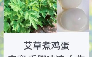 艾叶煮鸡蛋怎么做_艾叶煮鸡蛋的功效与禁忌