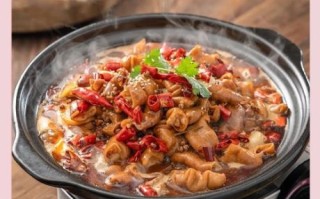 肥肠煲怎么做好吃_肥肠煲的做法步骤