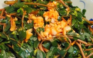 马苋菜怎么做好吃_马苋菜的家常做法 马苋菜怎么做好吃_马苋菜的家常做法