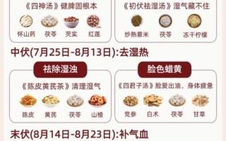 夏天吃什么食物养生_夏季养生食谱推荐