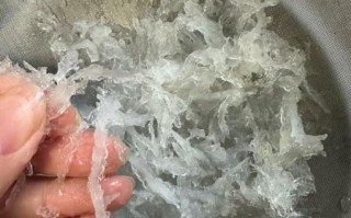 咸味燕窝怎么做_咸口燕窝家常做法