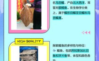 鸦片鱼学名是什么_鸦片鱼是鲆还是鲽