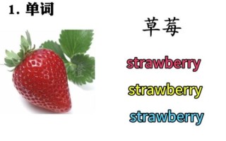 strawberry怎么拼写_strawberry复数形式