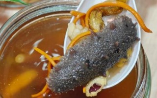 海参怎么做汤好吃又简单_海参汤家常做法