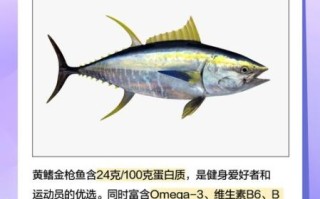 黄鳍金枪鱼多少钱一斤_黄鳍金枪鱼最新价格走势