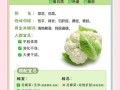花椰菜暗示什么_花椰菜象征意义