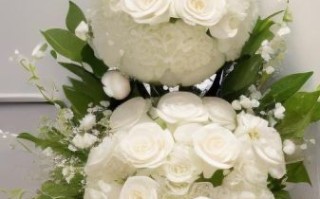 玫瑰图片高清图片_如何挑选适合做壁纸的玫瑰高清图