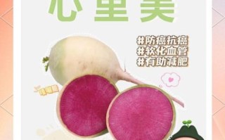 心里美萝卜学名是什么_心里美萝卜营养价值
