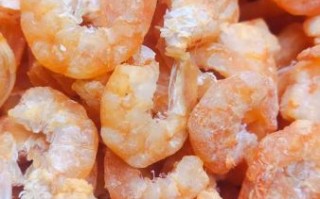 干虾仁怎么泡开_干虾仁泡多久才软
