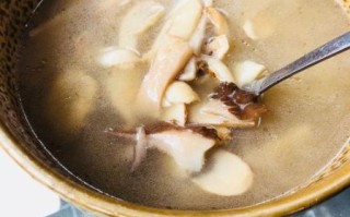 野生菌菇汤怎么做_野生菌菇汤有哪些功效