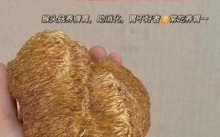 猴头菇能治胃病吗_猴头菇对胃炎有用吗