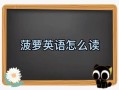 菠萝英语发音示范_菠萝怎么读