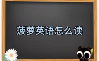 菠萝英语发音示范_菠萝怎么读