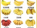香蕉有哪些品种_香蕉六大种类区别