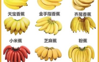香蕉有哪些品种_香蕉六大种类区别