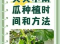 小南瓜怎么种_小南瓜种植时间