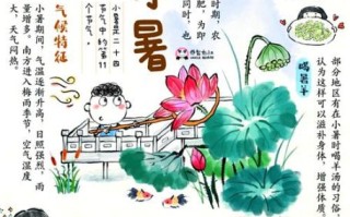 小暑节气的含义是什么_小暑节气有哪些传统习俗