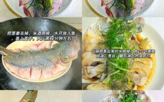 清蒸鱼需要多长时间_清蒸鲈鱼几分钟能熟