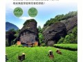 大红袍产地在哪里_武夷山景区核心产区详解