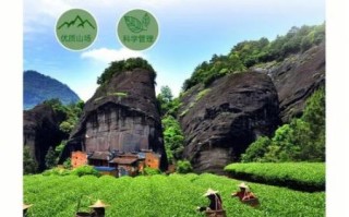 大红袍产地在哪里_武夷山景区核心产区详解